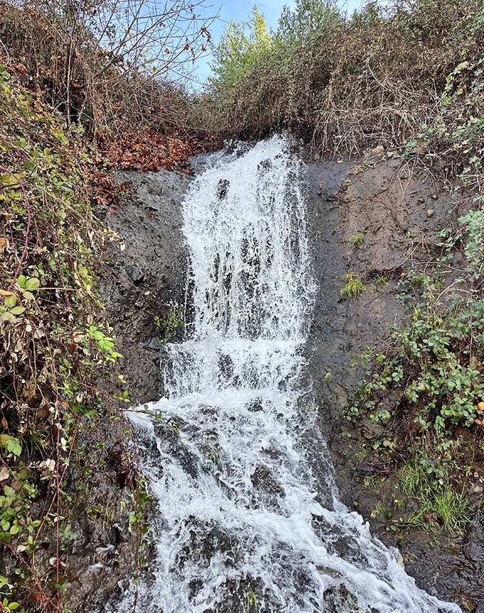 Hidden waterfalls reward explorers in Paradise's surrounding wilderness. Nature's version of a spa day is just a short hike away from town.