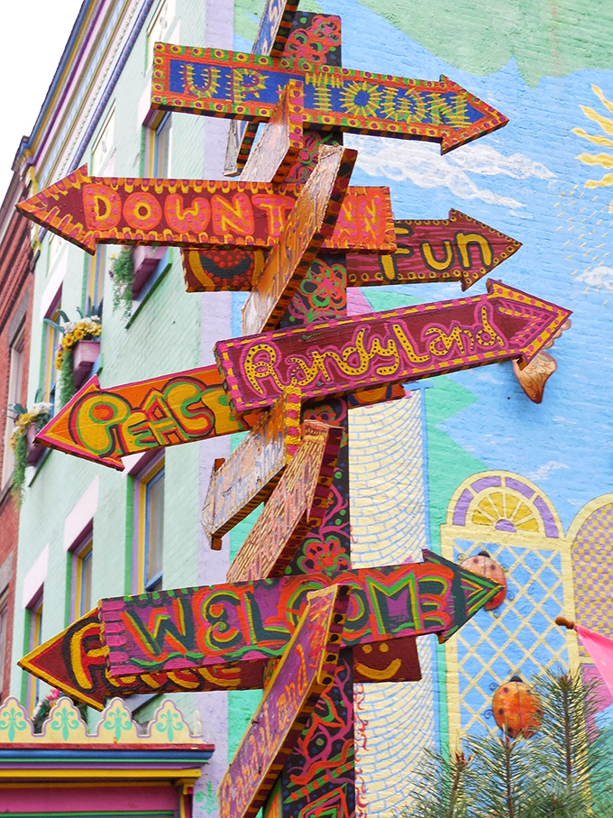 Directional signs point everywhere and nowhere simultaneously—the perfect metaphor for a place where getting lost is the point.