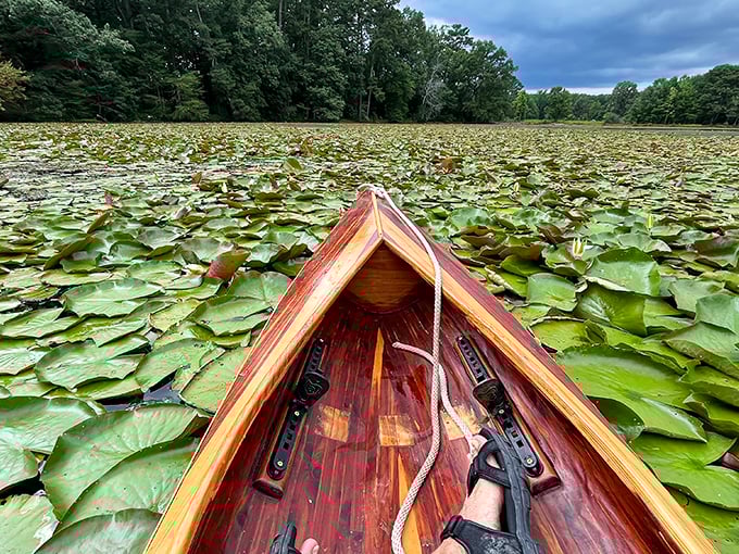 Gliding through lily pads in a handcrafted wooden canoe—this is the kind of retirement activity that makes your working friends secretly jealous.