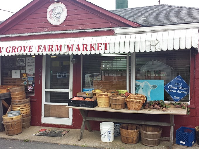 Farm-fresh bounty displayed like nature's candy store, straight from local soil to table.