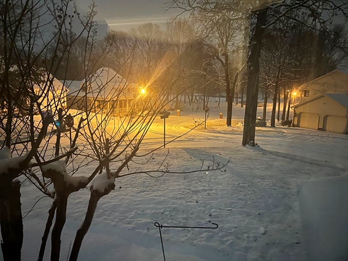 Winter in Trumann brings a hushed beauty to neighborhoods – where porch lights glow like beacons and snow transforms familiar streets into wonderlands.