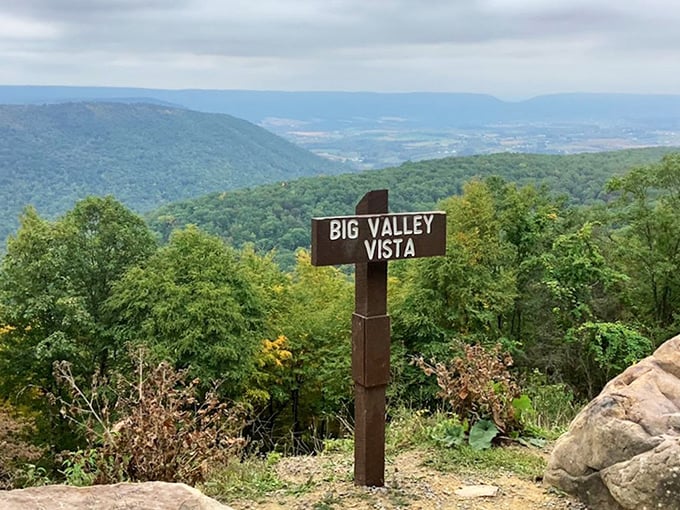 The aptly named Big Valley Vista – where Pennsylvania unfolds before you like a living topographical map worth every step of the climb.