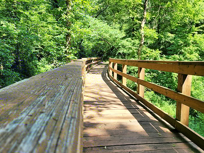 This wooden pathway through dense forest offers the perfect compromise between wilderness adventure and keeping your shoes clean.