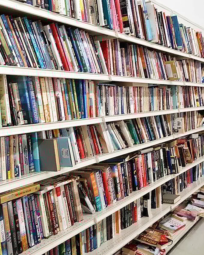 A bibliophile's dream on a budget. These shelves hold forgotten bestsellers and hidden gems—literary adventures for less than a cup of coffee.
