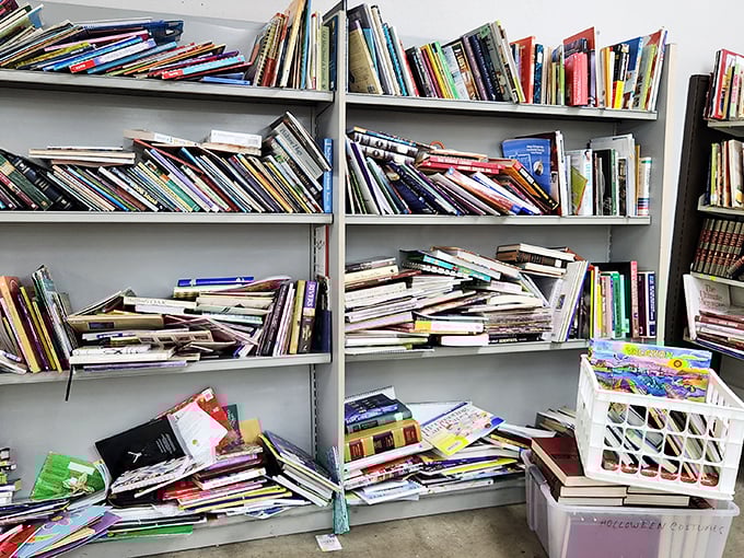 The book section – where dog-eared paperbacks and forgotten bestsellers create a literary treasure hunt for the patient browser.