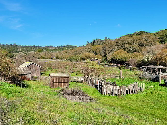 Rustic outbuildings and weathered fences tell stories of ranch life past, when "working from home" meant something entirely different.