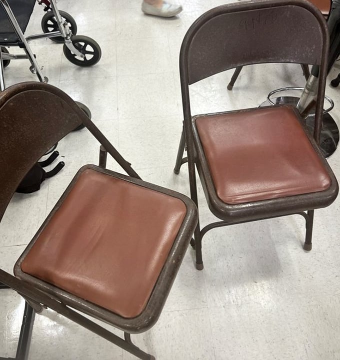 Folding chairs that've supported more posteriors than a congressional hearing – and they're probably more comfortable.