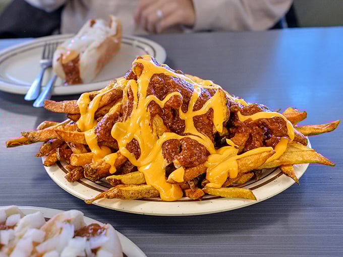 Chili cheese fries: the mountain of deliciousness that makes grown adults forget about sharing. Worth every napkin it requires and every diet it ruins.