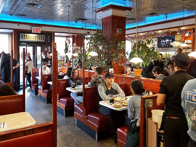 A full house at Tom's isn't just about occupancy—it's a testament to a place where strangers become neighbors over plates of comfort food.