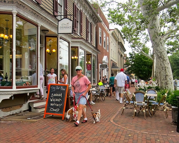 Evergrain Bakery's sidewalk scene captures Chestertown's dog-friendly vibe, where four-legged friends are as welcome as their humans.