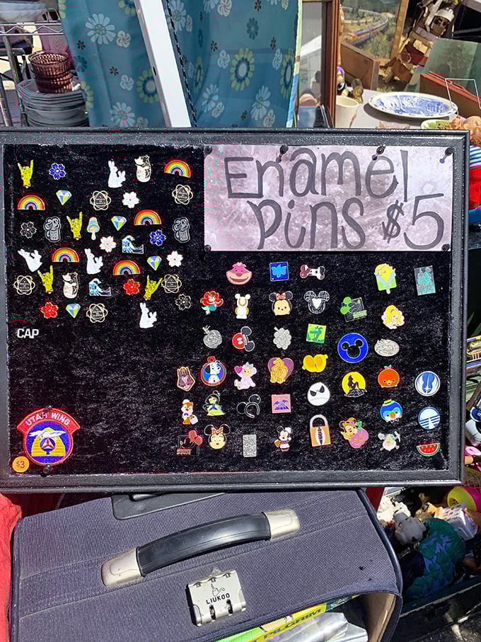 Enamel pins displayed like tiny works of art, offering personality by the square inch for just $5—the cheapest identity crisis resolution ever.