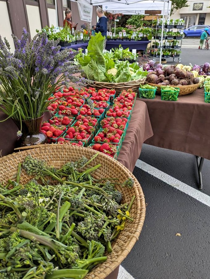 The farmers market showcases the bounty of Del Norte County. Those strawberries didn't travel on a truck for days – they were likely picked that morning.