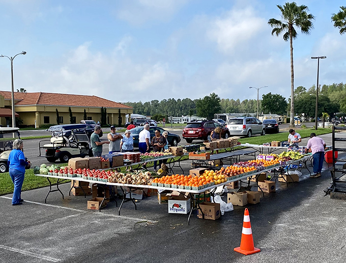 Saturday farmers market: fresher than your jokes but twice as colorful and actually good for you.