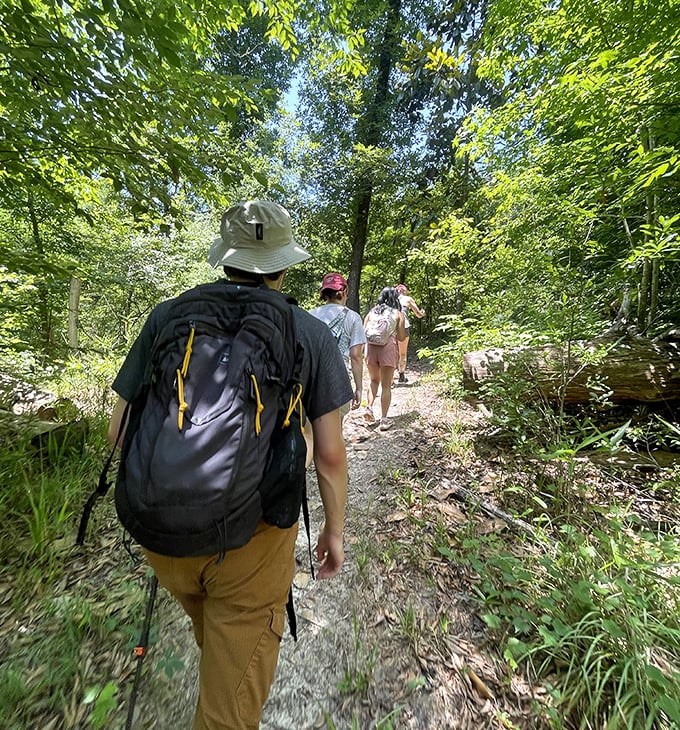 The trail less traveled, but definitely worth taking. Hikers navigate Torreya's challenging terrain, where every turn reveals new natural wonders.