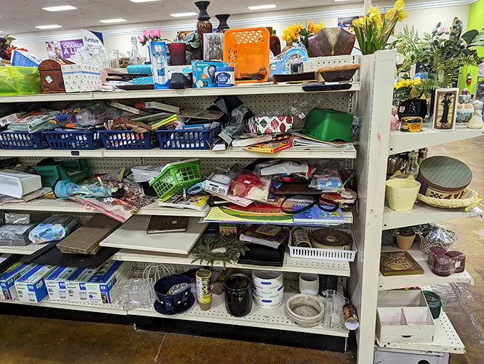 Organized chaos of household miscellany—where measuring cups, vases, and mysterious gadgets create a still life of American consumption.
