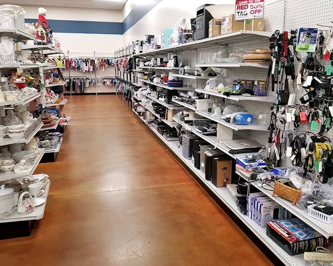The housewares section: where kitchen dreams come true without the sticker shock. From toasters to teapots, domestic bliss awaits at pennies on the dollar.
