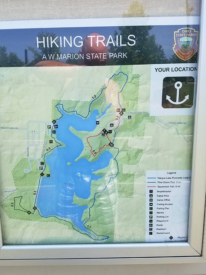 Never get lost with this detailed trail map – though sometimes the best park experiences come from wandering off the beaten path.