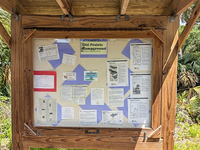 The Old Prairie Campground bulletin board – where "What's happening tonight?" means alligator spotting, not happy hour specials.