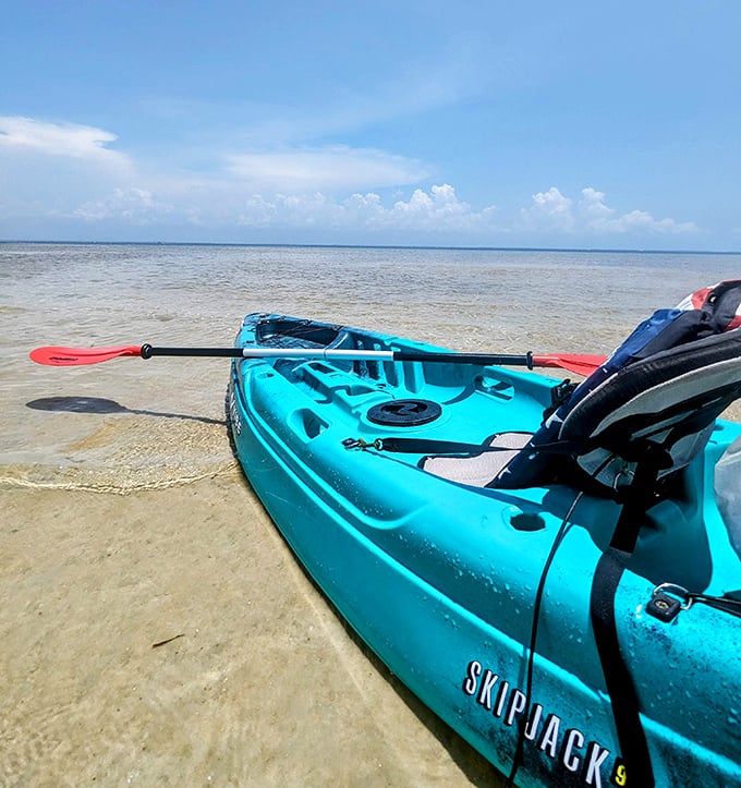 Kayaking the calm bay waters—where "rush hour" means a heron might fly past. This turquoise vessel awaits your paddling adventure.