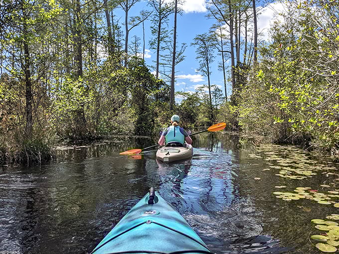 Kayaking Camden's waterways feels like gliding through nature's secret hallways—the kind that don't appear on any GPS but lead to the best destinations anyway.