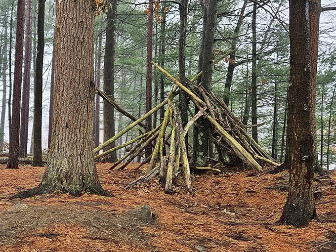 Someone channeled their inner wilderness architect, creating this stick fort that would make both Boy Scouts and modern designers nod in approval.