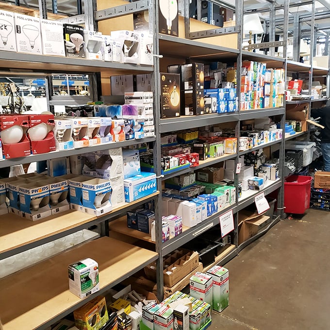 The lighting section glows with possibility—from energy-efficient bulbs to fixtures that'll make your neighbors ask, "Who's your designer?" P