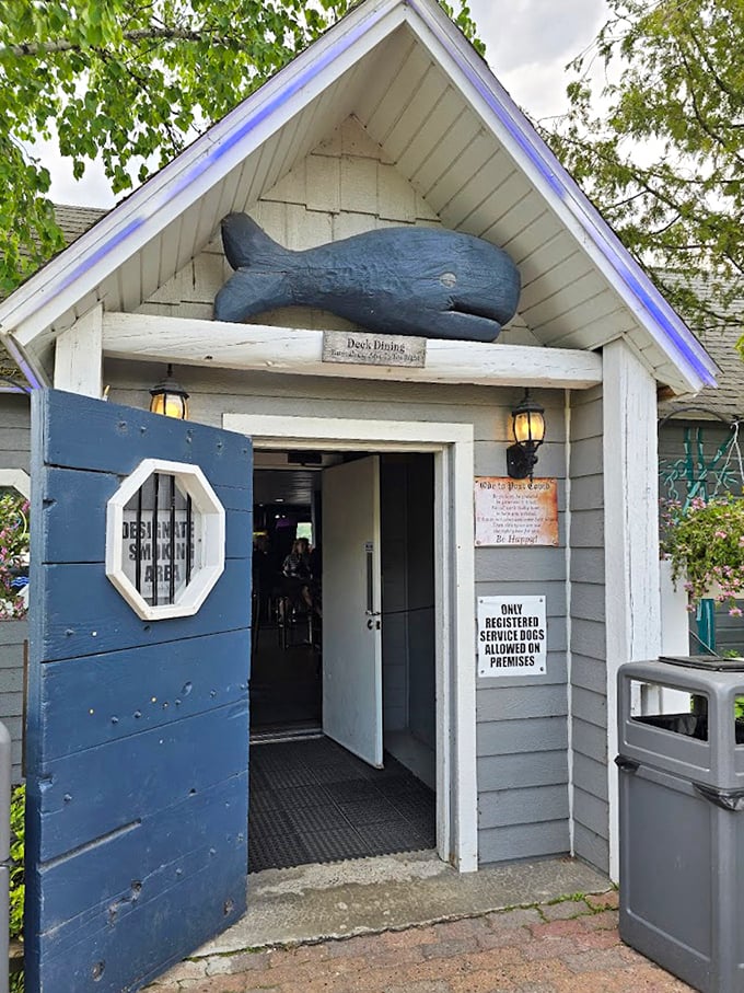 The blue whale welcomes you like an old friend who happens to know where all the best food is hiding.