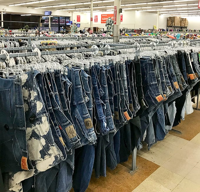 Denim democracy in action—jeans of every persuasion hanging together in peaceful harmony, waiting for their forever homes.