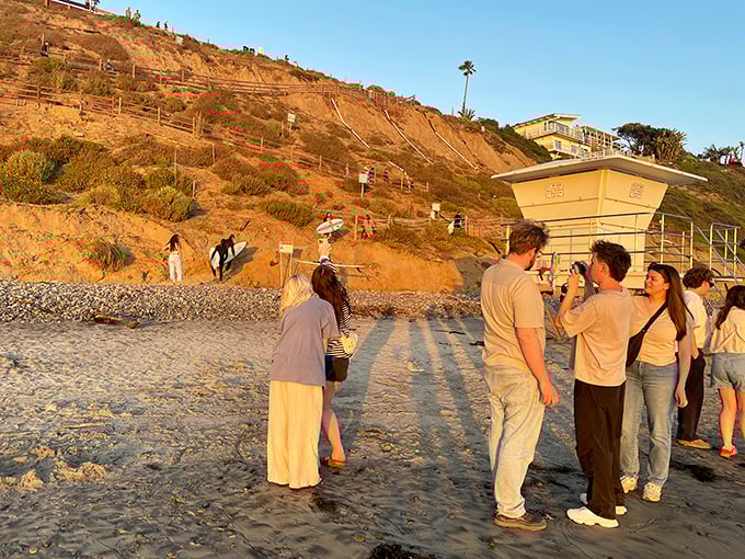 Golden hour transforms the beach into a gathering place for sunset admirers. Even the most jaded locals pause for this daily spectacle.