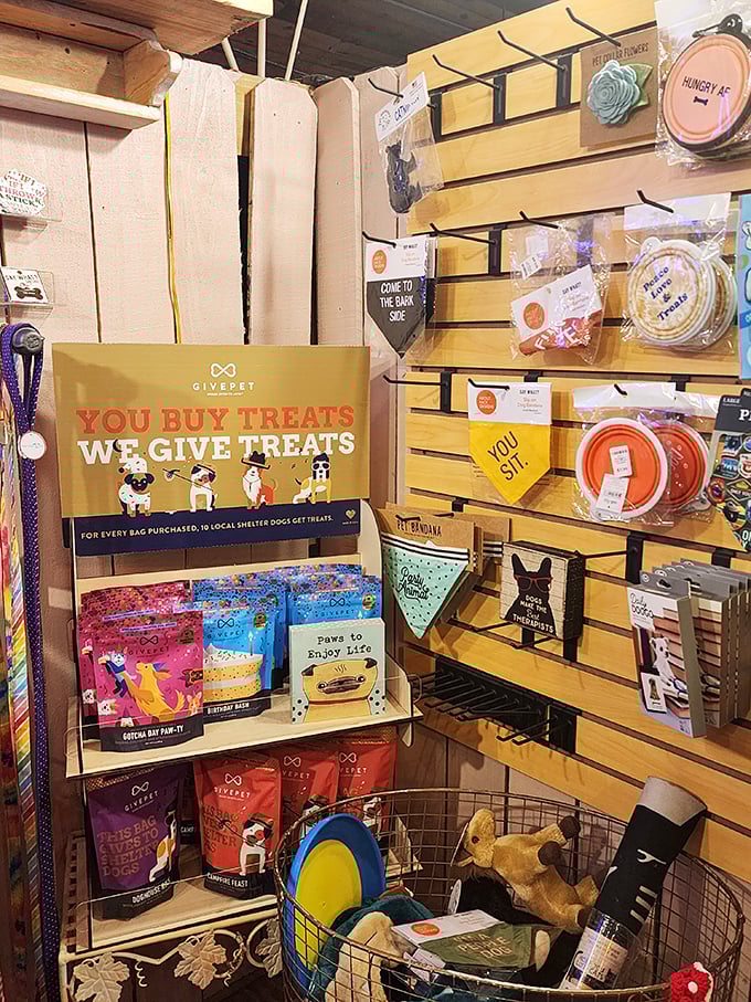 Pet supplies with attitude—because your four-legged friend deserves treats with the same quirky charm as everything else here.