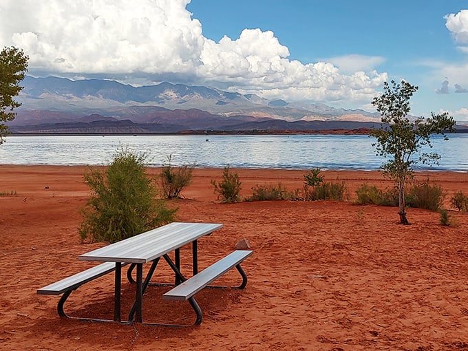 The perfect picnic spot doesn't exi— Oh wait, here it is. That view charges nothing but delivers everything.
