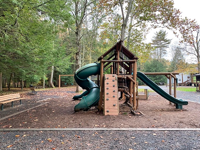 This playground might lack digital screens, but the smiles it generates have far better resolution than any smartphone could capture.