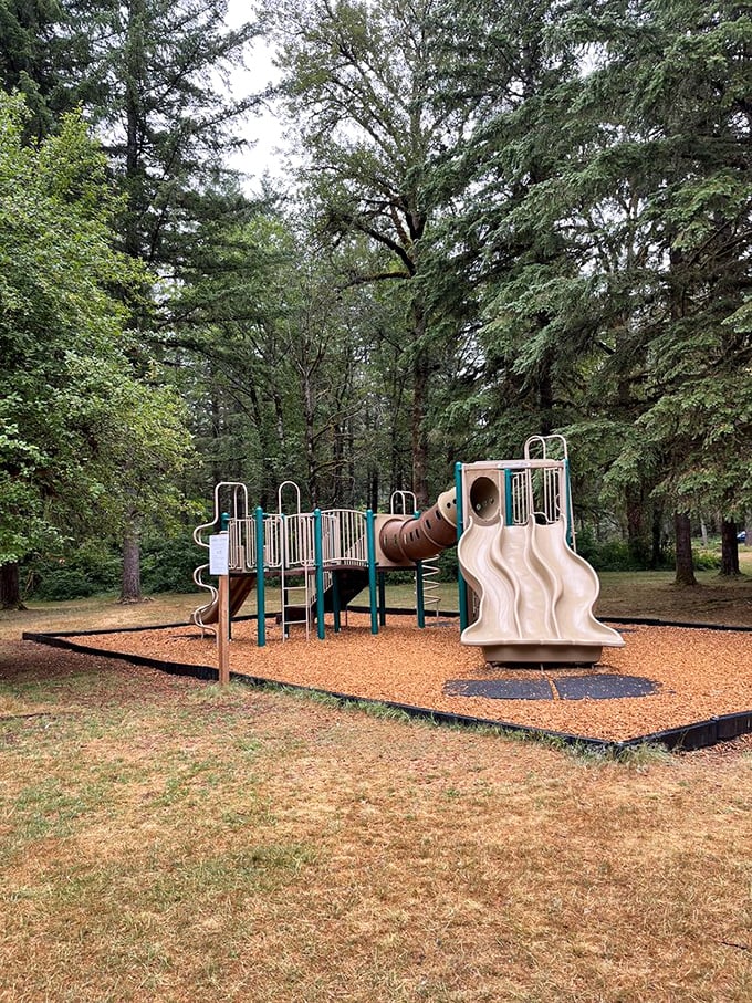 The playground sits nestled among towering firs, where kids burn energy while parents silently thank the genius who invented outdoor play.