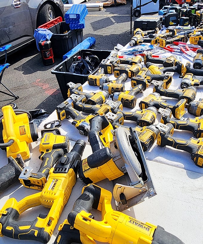 Tool paradise for DIY devotees—DeWalt yellow dominates this table like bees at a flower convention, promising power at palatable prices.