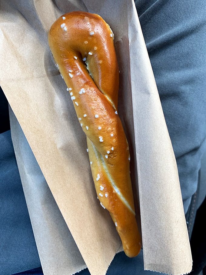 The classic pretzel twist in its purest form—a testament to the beauty of simplicity and the perfect companion for Pittsburgh explorations.