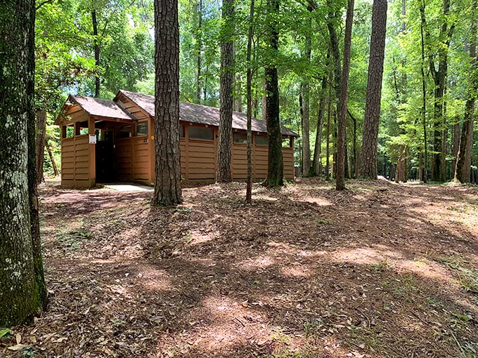 Even the restrooms at Colleton blend harmoniously with the forest surroundings. Roughing it doesn't mean what it used to.