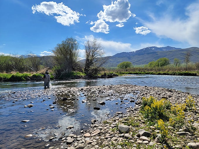 Fly fishing in crystal clear waters—where "gone fishing" isn't an excuse, it's a life philosophy worth adopting.