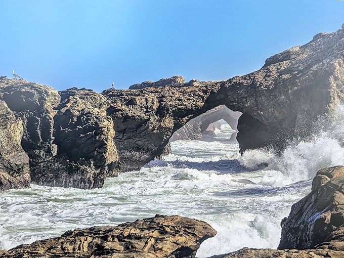 Mother Nature's architecture rivals any human creation—these sea arches have been sculpted by waves with the patience only geology can afford.