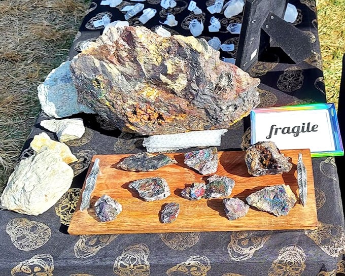 Nature's sculptures displayed with reverence—these rock specimens transform from "just stones" to conversation pieces with one simple sign: "fragile."