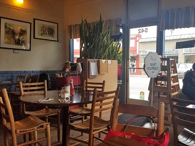 Where "please seat yourself" isn't laziness—it's an invitation to choose your own breakfast adventure.