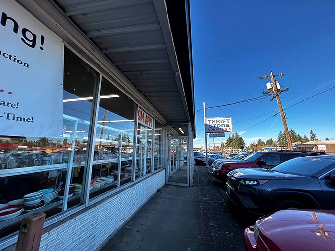 The storefront stretches along the parking lot, a no-frills facade that belies the wonderland of possibilities waiting inside.