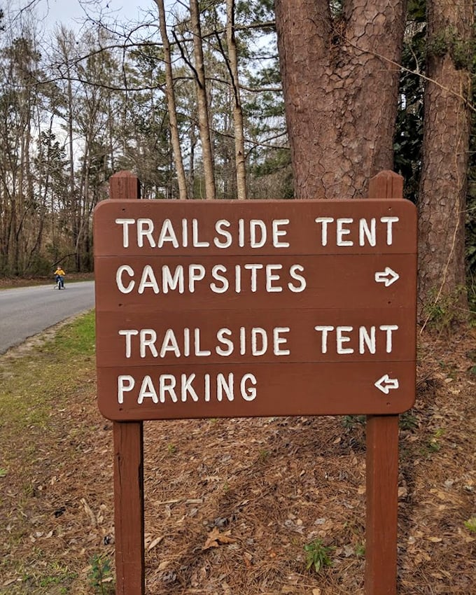 Some of life's best moments happen when you follow wooden signs into forests. This one promises adventure in both directions.
