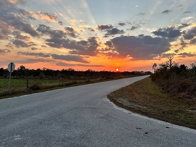Sunset over the scrubland – when Florida decides to show off its painterly skills with a palette of oranges and purples.
