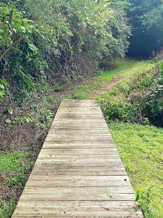 The path less traveled, literally. Wolf Run's trails invite exploration without the "are we there yet?" crowds of busier parks.