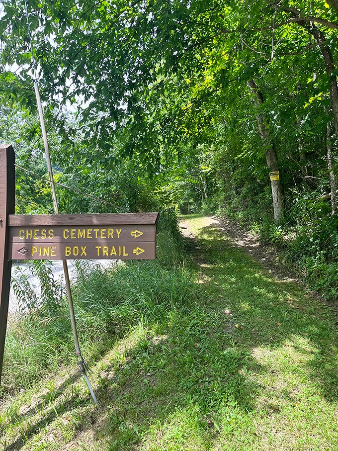 Trail markers point to Chess Cemetery and Pine Box Trail—hiking options with names straight out of an Appalachian mystery novel.