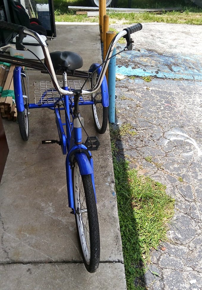 A blue tricycle that offers the perfect blend of transportation and shopping cart—ideal for neighborhood errands or retirement community cruising.