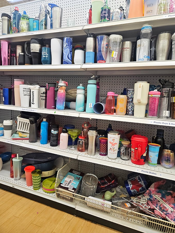 The tumbler section: a hydration history museum where every corporate retreat, fun run, and promotional giveaway of the last decade lives in plastic perpetuity.