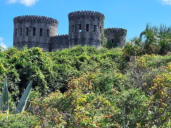 Peeking through the palms, Castle Otttis plays hide-and-seek with visitors approaching through Florida's natural landscape.