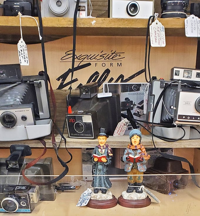 Vintage cameras that captured someone's wedding, vacation, or baby's first steps—now waiting for their second act in your collection.