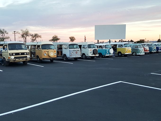 Classic cars line up like a vintage postcard, chrome gleaming as their owners relive glory days.